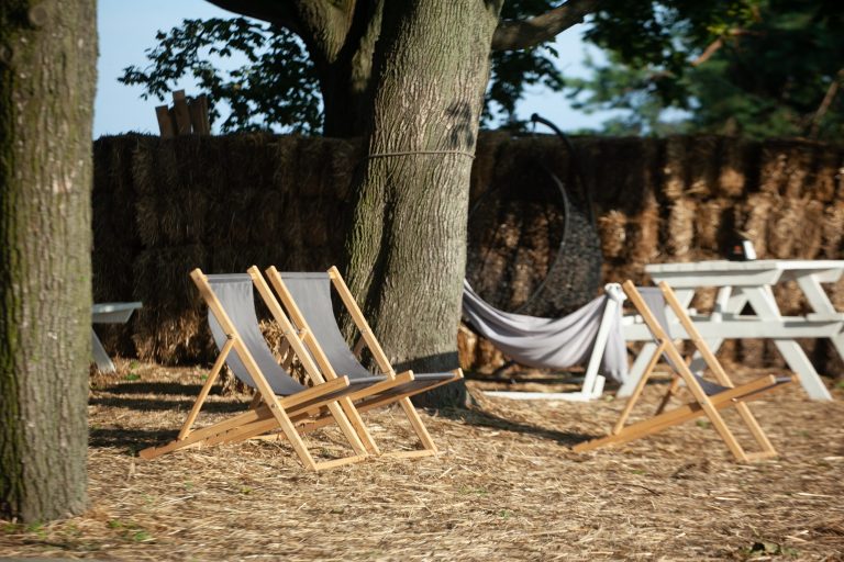 Лавандові поля: топ-11 локацій, де шукати лаванду в Україні - Ukraine-is